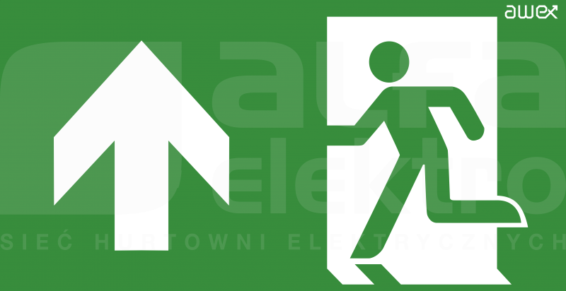 PN30 100x200 zielony/biały Piktogram mały strzałka góra chłopek w ...